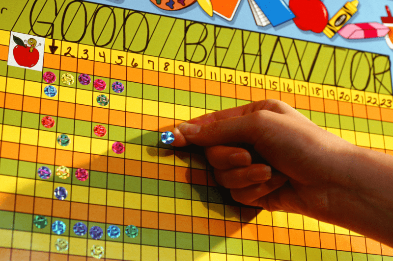 Preparing for Primary School: What Teachers Wish Parents Knew About ...